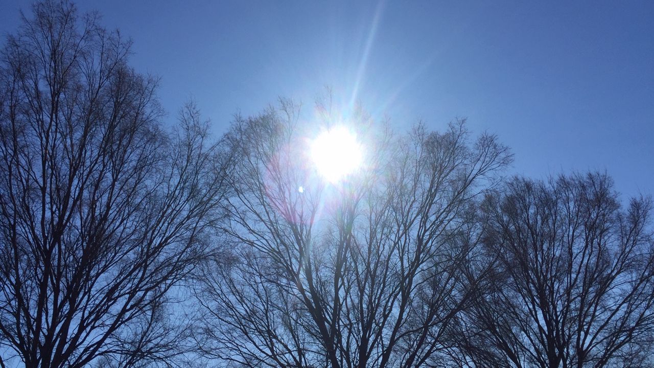 Beautiful Christmas Weather!