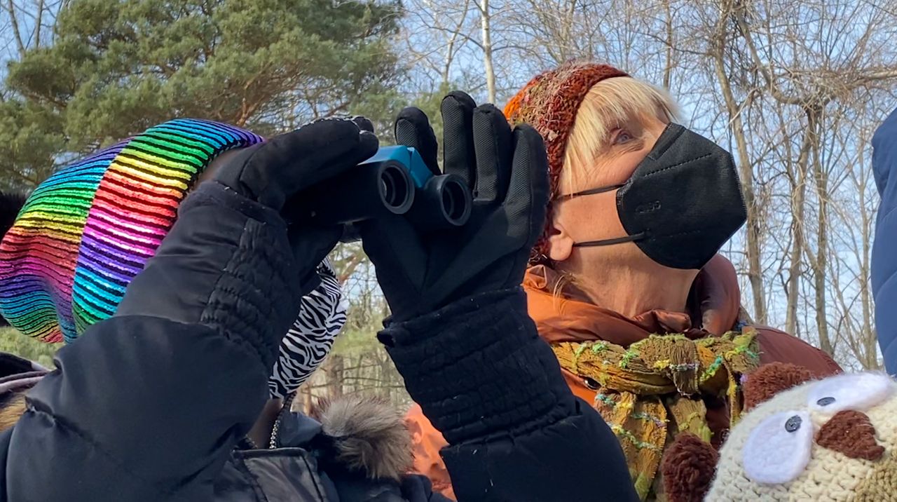 Families learn about woodpeckers at annual Woodpecker Walk