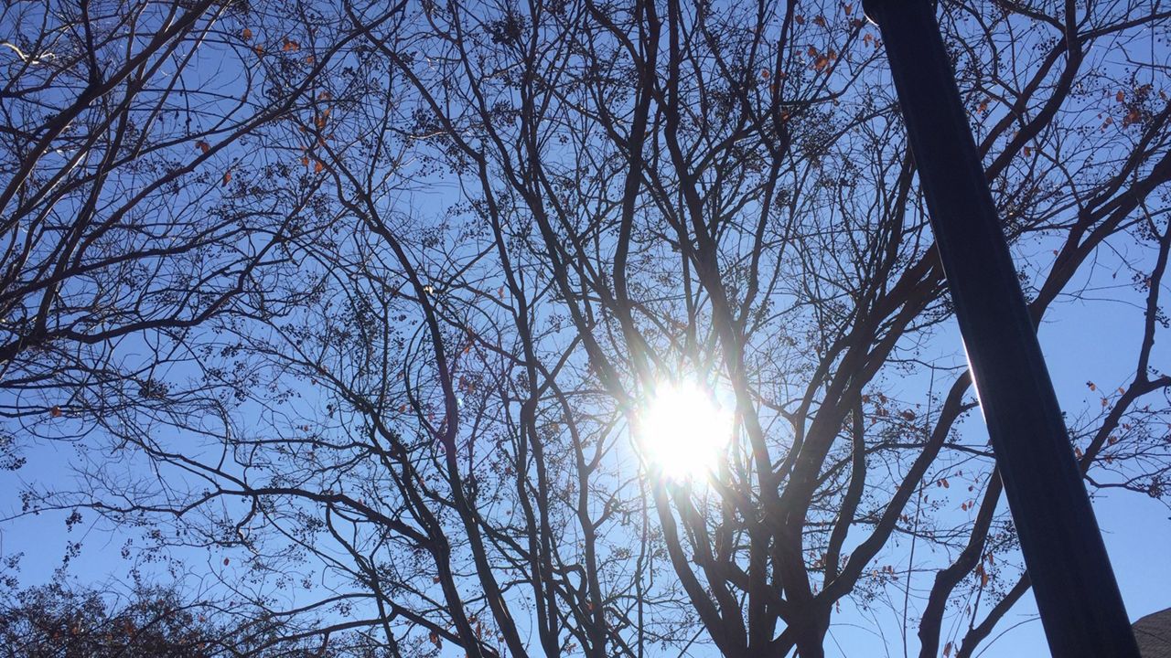 Sunshine & Colder Saturday