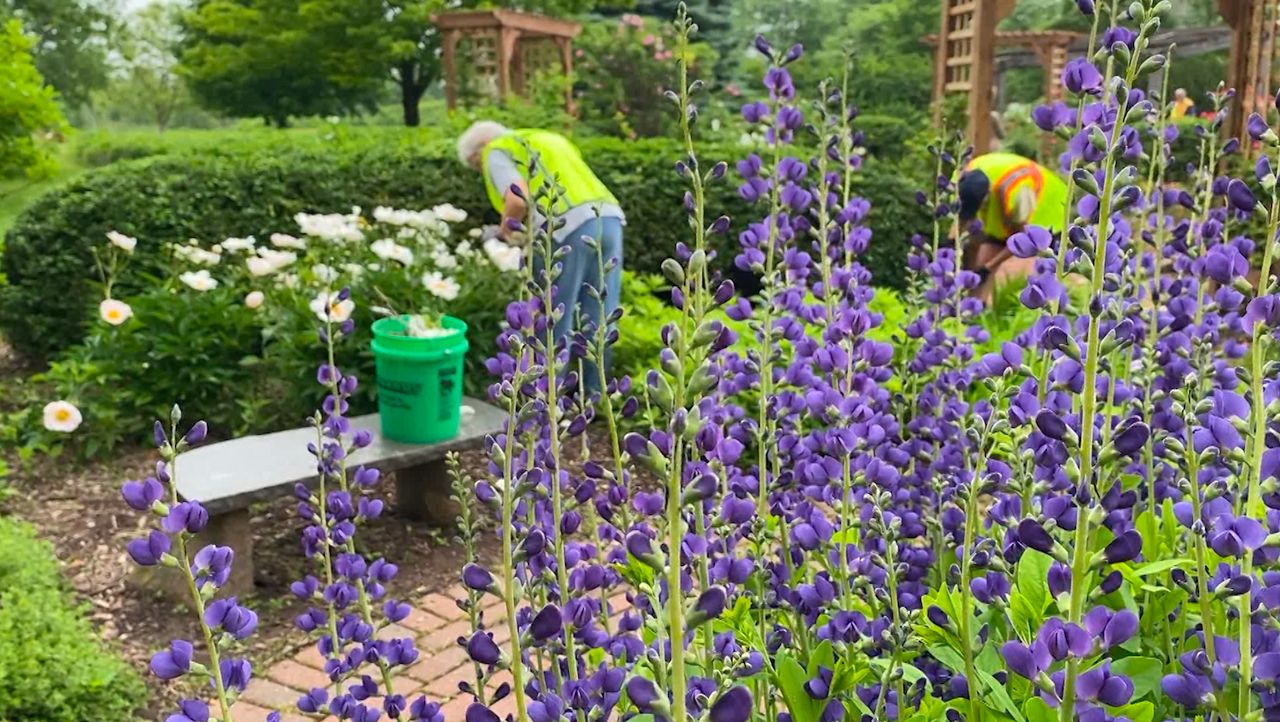 Everyday Hero: Volunteers bring beauty to Appleton gardens