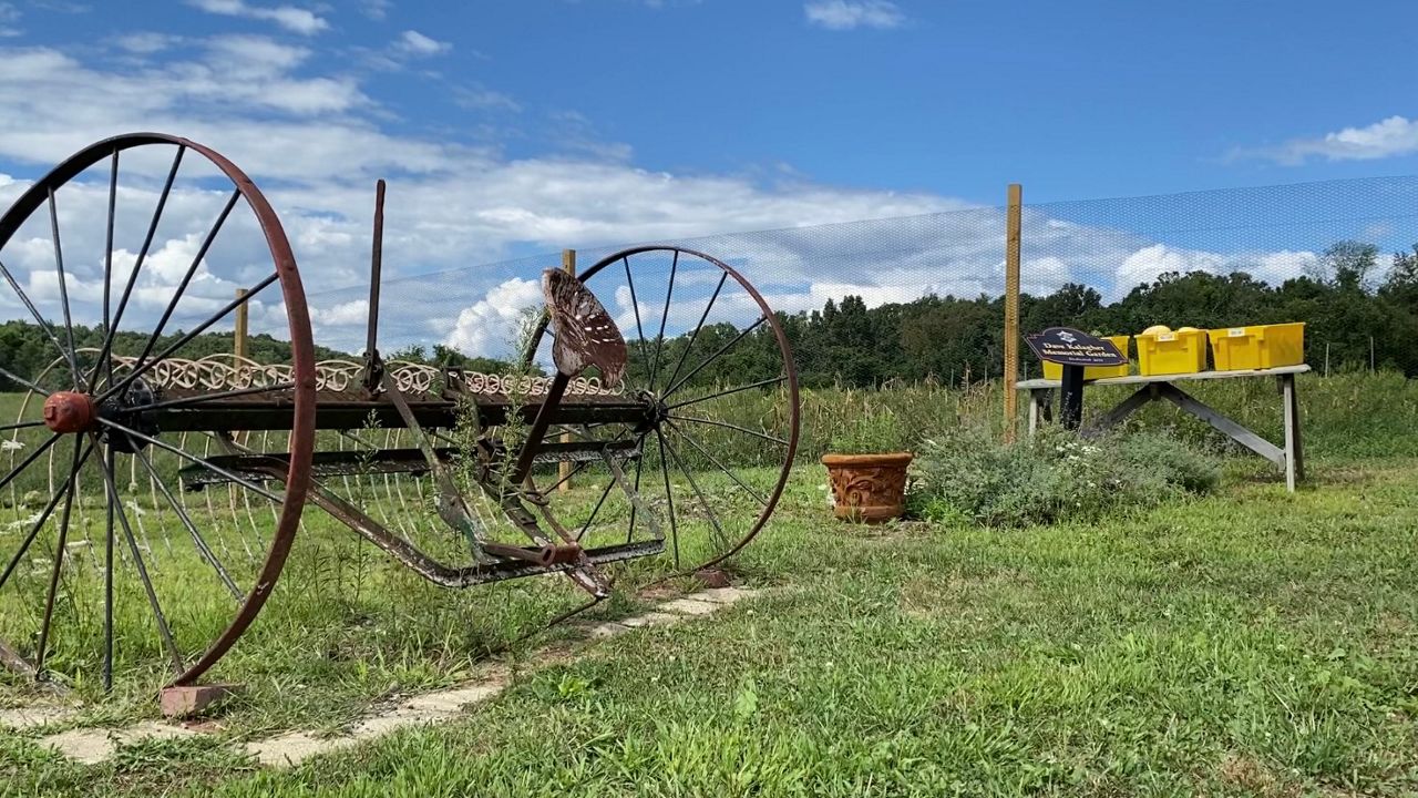 Inmate-run farm donated 250,000 pounds of produce