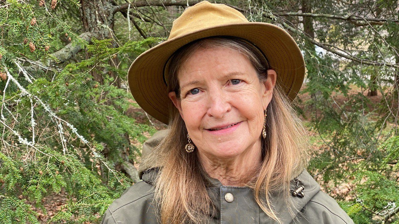 Bernheim Arboretum looking to expand volunteers