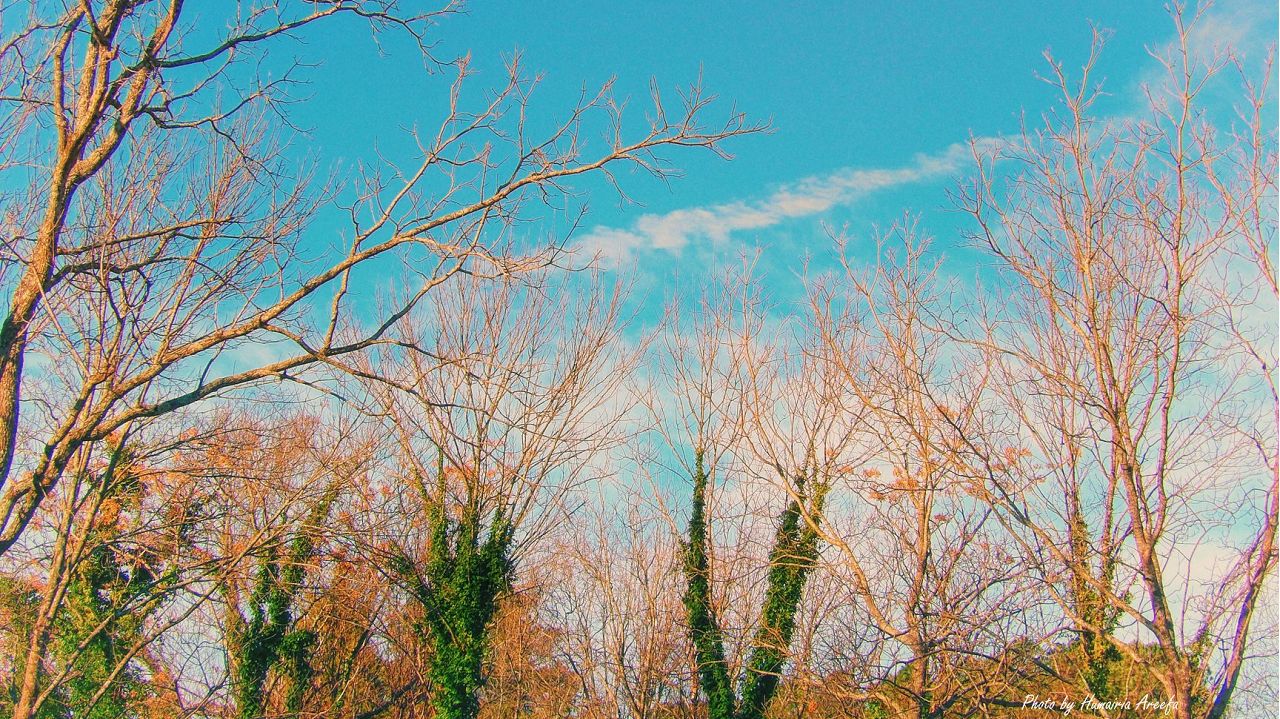 Sunny Start to the Week, Showers Possible Tuesday