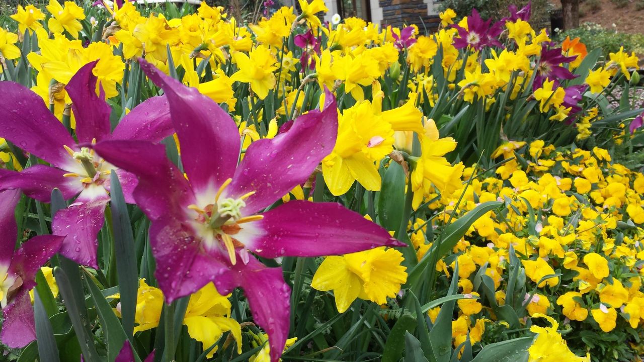 Spring warmth continues Thursday