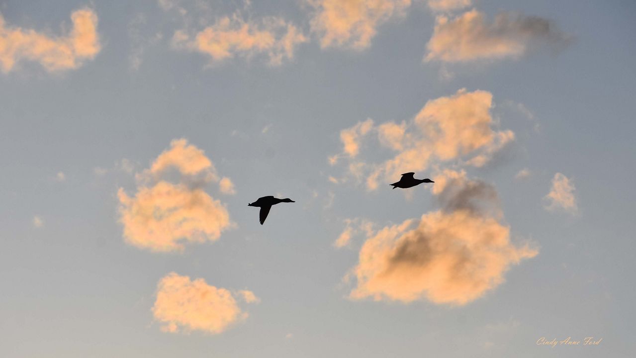 Calmer Weather for Tuesday, Light Rain by Early Wednesday