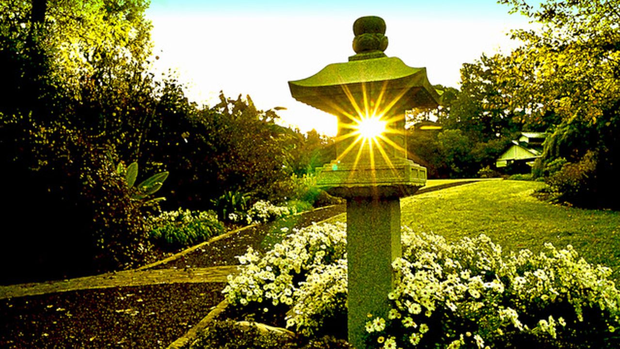 Sunny and Pleasant Start to the Week