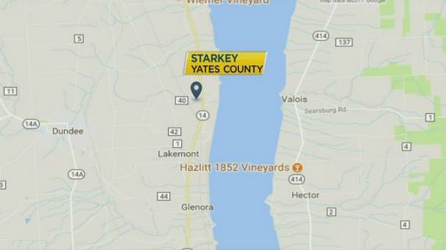 3 horses killed in Yates County car crash