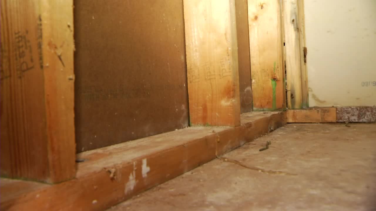 Dealing With Mold in Your House