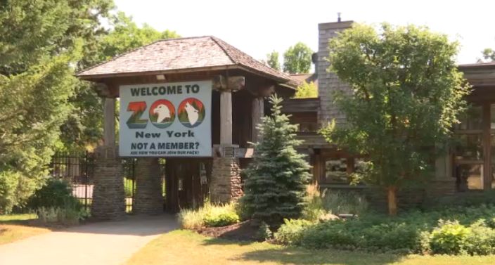 New Name, New Logo: Watertown's "Zoo New York" Hopes for New Beginning