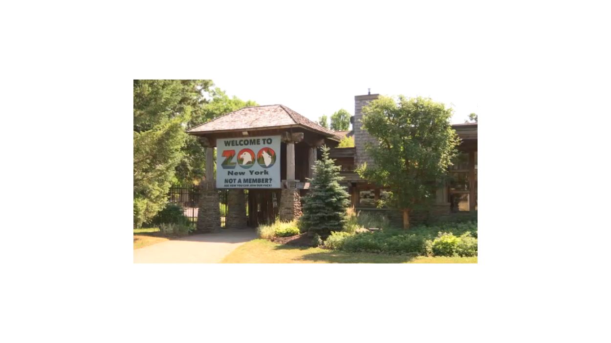 Watertown's "Zoo New York" Hopes for New Beginning