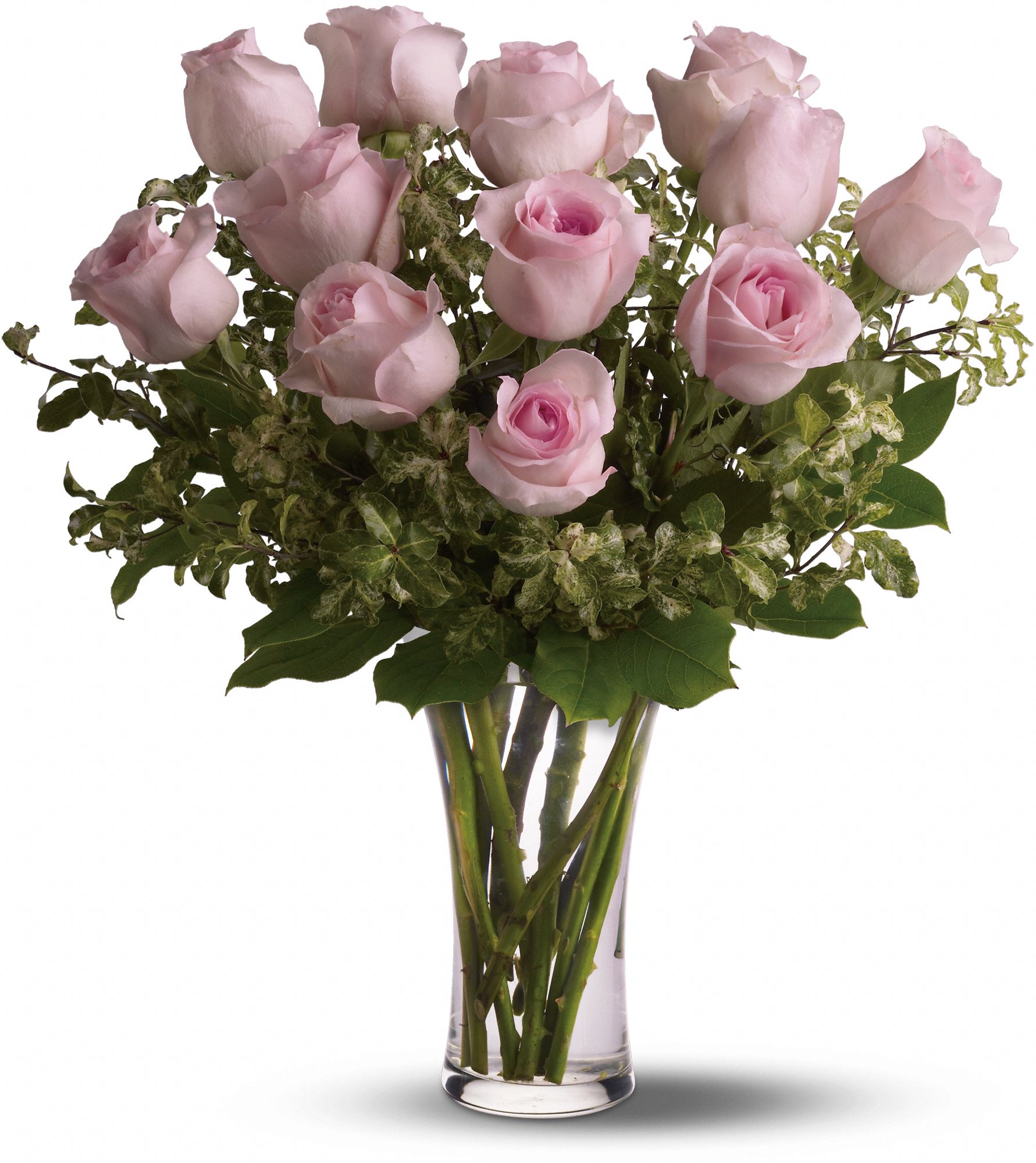 A Dozen Pink Roses | Photodrive