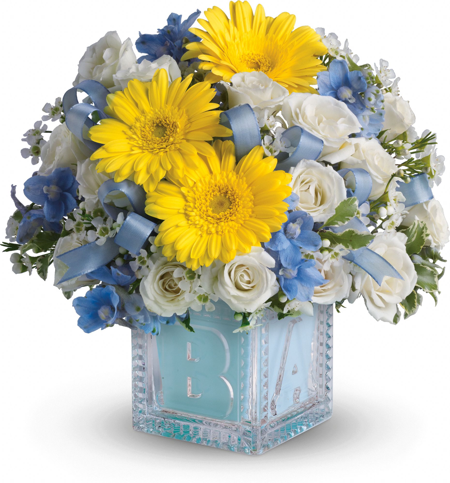 Baby’s First Block By Teleflora – Blue | Photoverse
