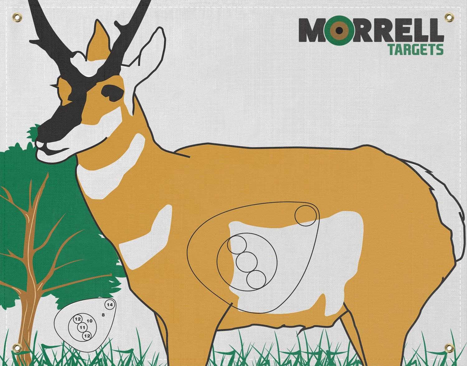 Morrell Antelope Target Face | Academy