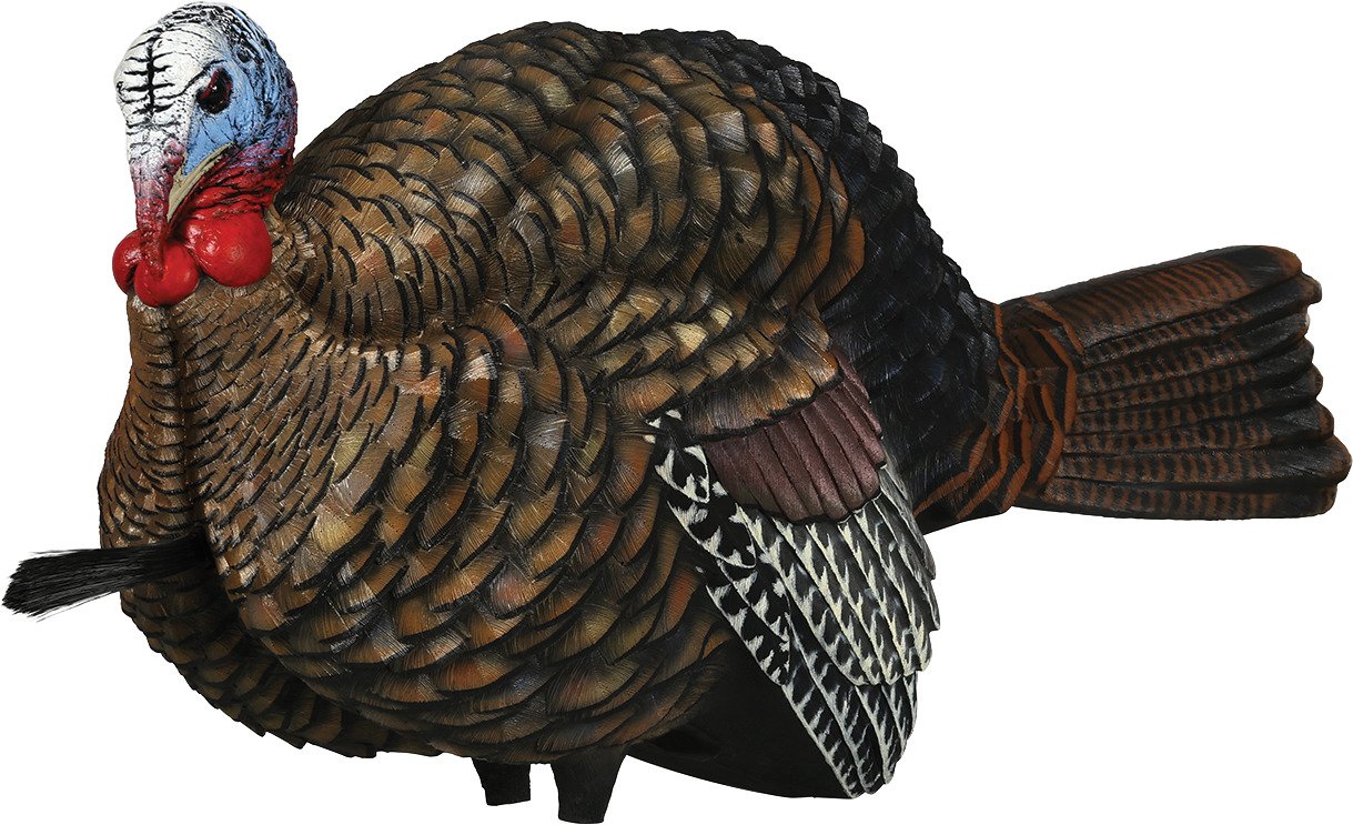Turkey Hunting Decoys | Academy