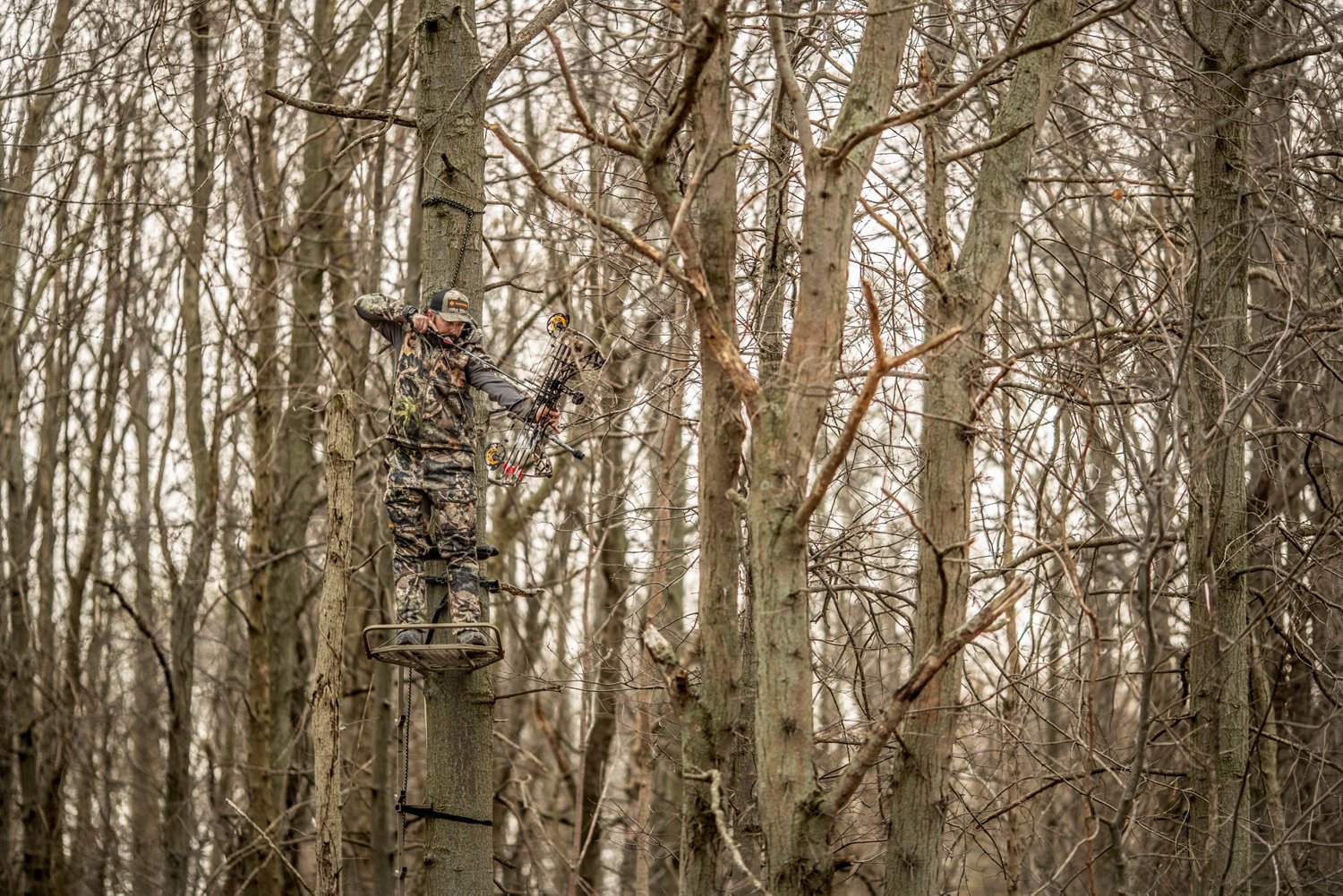 Nomad Men's Harvester Realtree Timber Pants | Academy