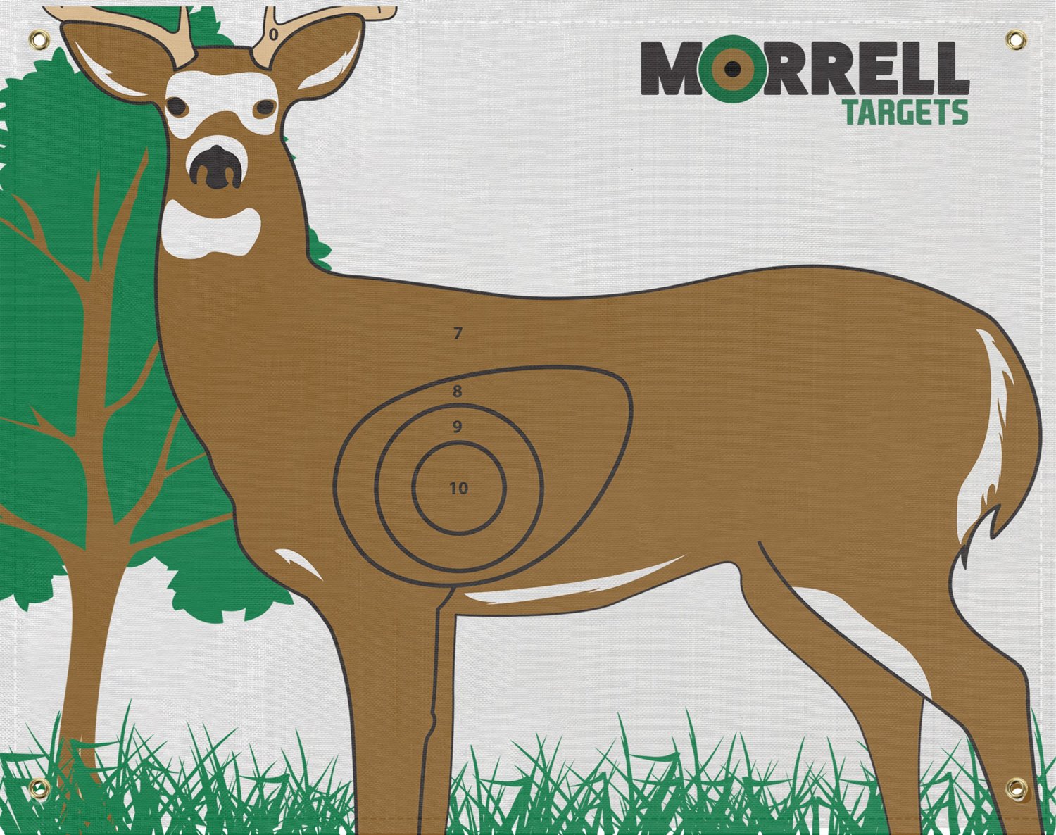 Morrell IBO/NASP Whitetail 42 x 28 in Archery Target | Academy
