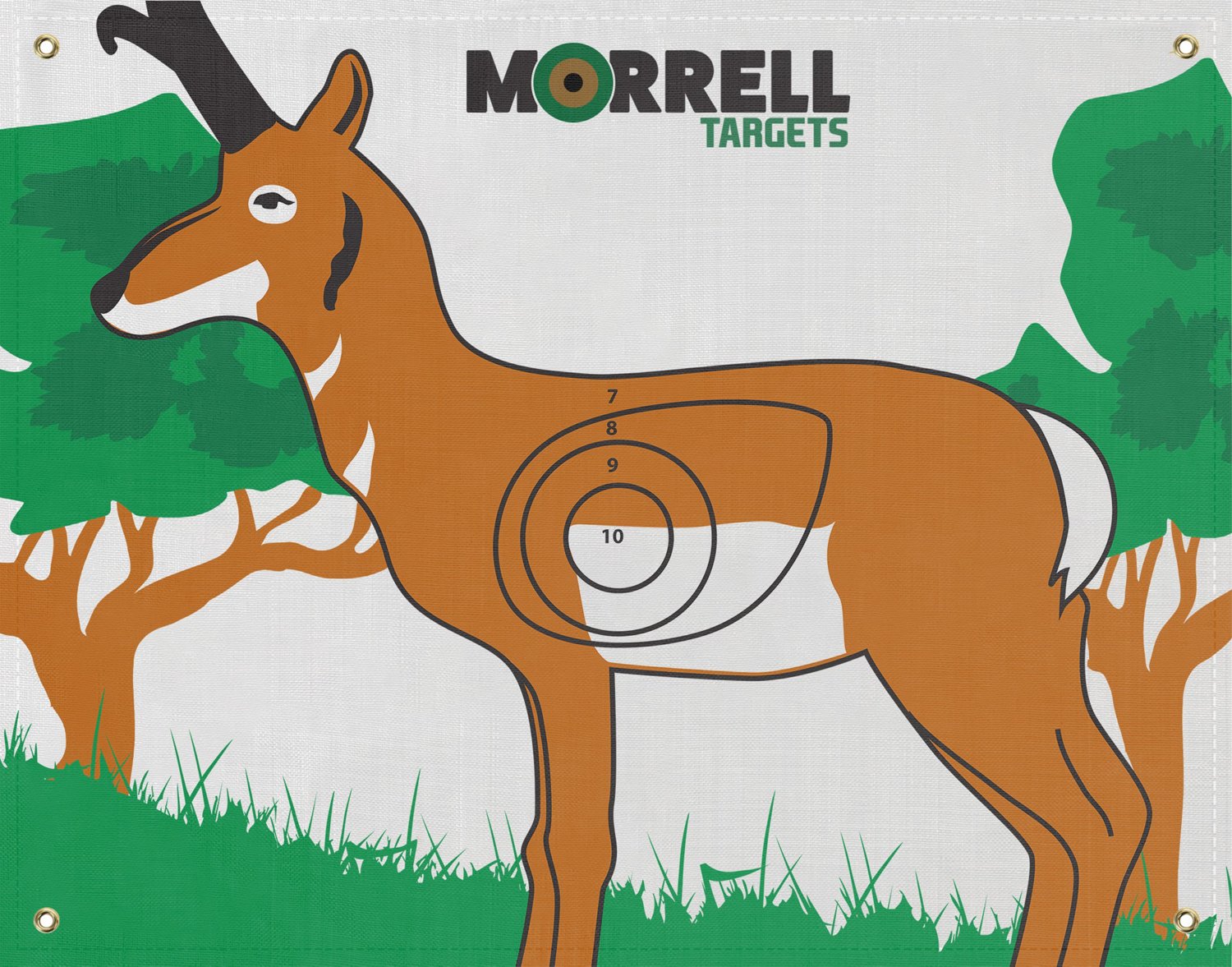 Morrell IBO/NASP Antelope 42 x 28 in Archery Target | Academy