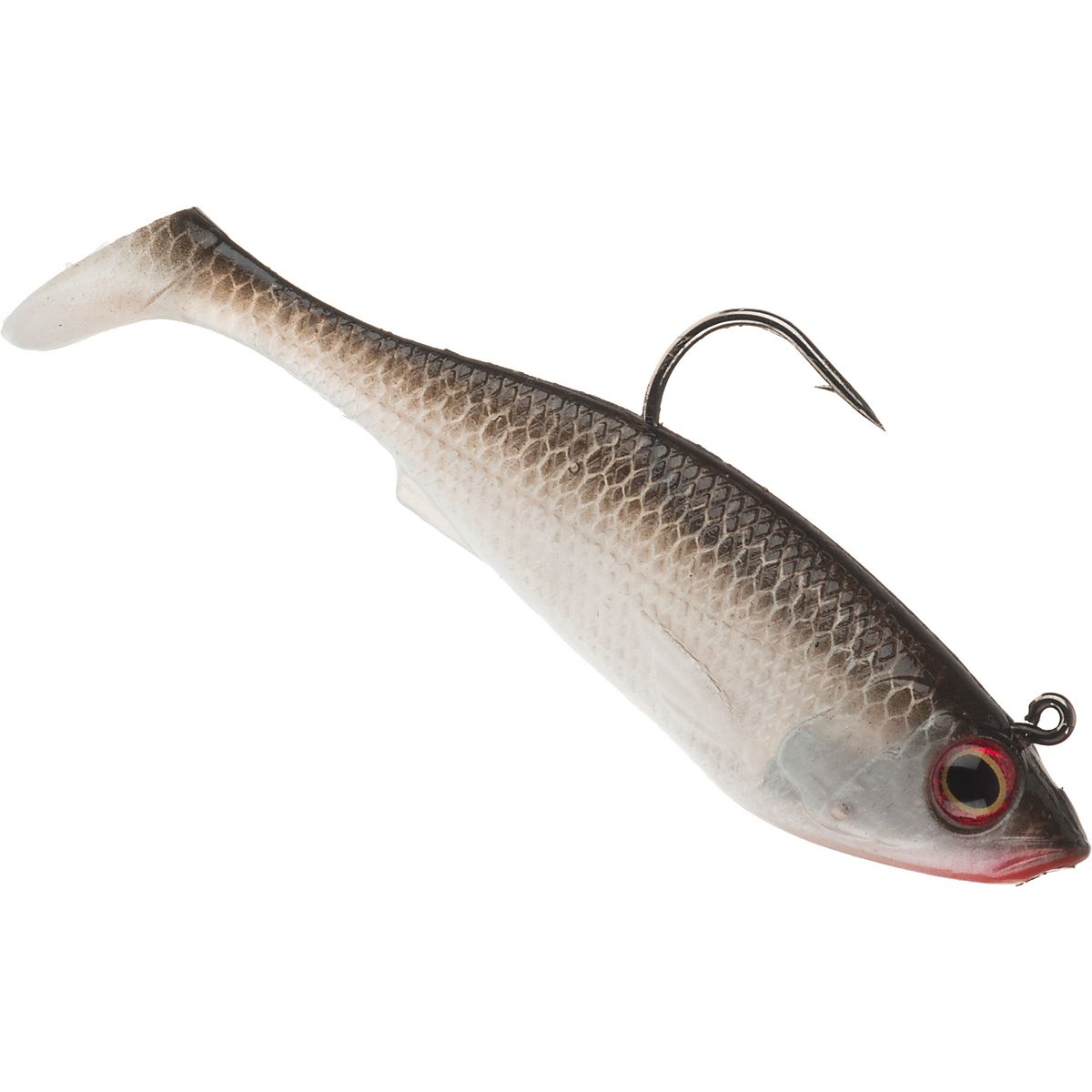 H2O XPRESS 4 in Prerigged Soft Plastic Swim Shad | Academy