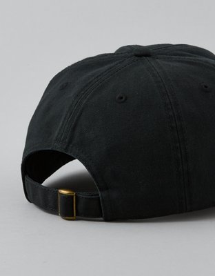AE Icon Hat | American Eagle