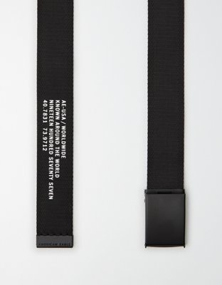 Men's Belts | Men's Accessories | American Eagle