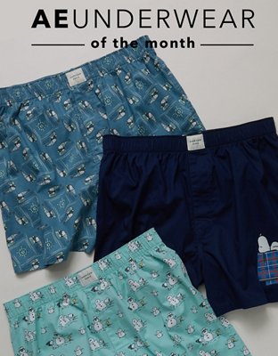 Men's Underwear, Boxers & Briefs | American Eagle