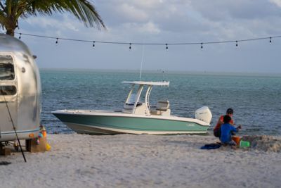 Boston Whaler 250 Dauntless – Explore Bay Boat Models | Boston Whaler