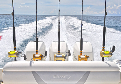 Choose a fishing boat | Types of boats | Boston Whaler