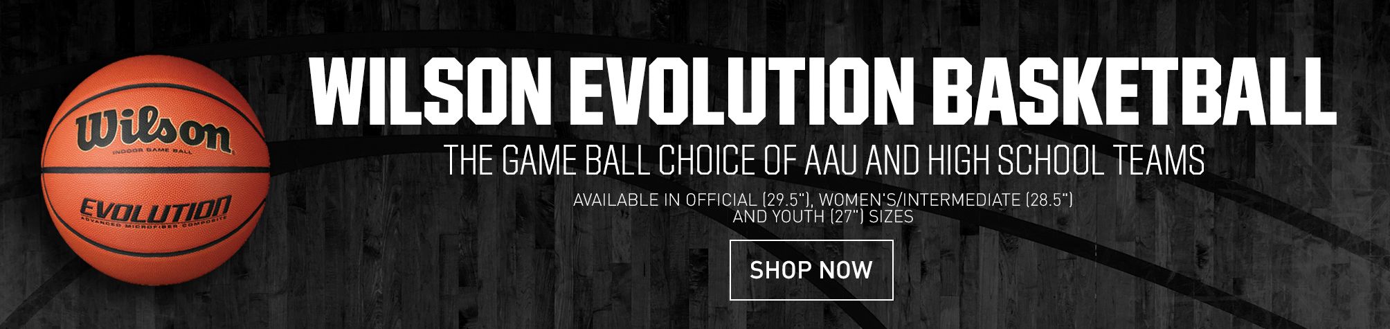 Basketballs | DICK'S Sporting Goods