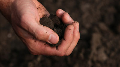 CargillAg | Grow and Sell Grain with Cargill Ltd.