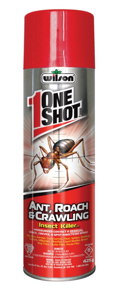 Wilson Ant & Roach & Crawling Aerosol | The Home Depot Canada