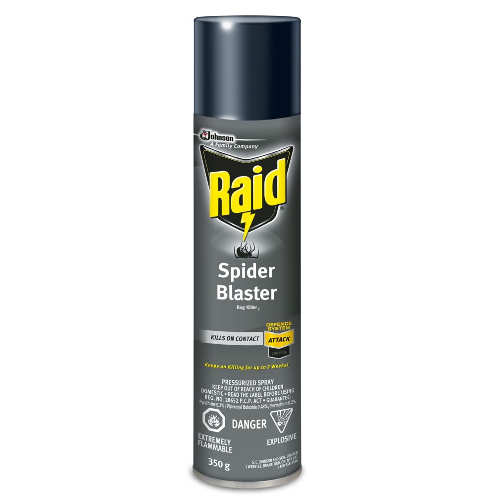 Raid Spider Blaster 350g Spider Killer | The Home Depot Canada