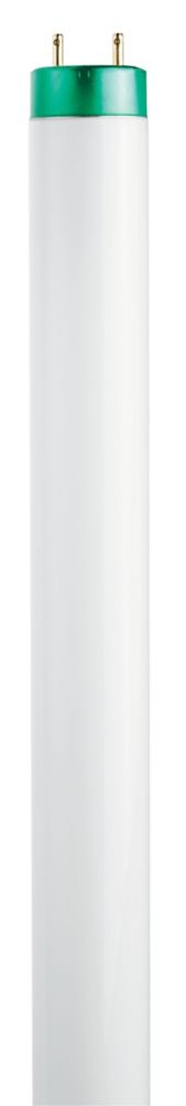 Fluorescent Bulbs | The Home Depot Canada