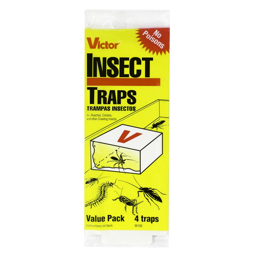 Victor Poison-Free Insect Trap (4-Pack) | The Home Depot Canada