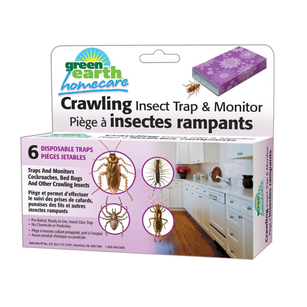 Green Earth Homecare Crawling Insect Trap & Monitor | The Home Depot Canada