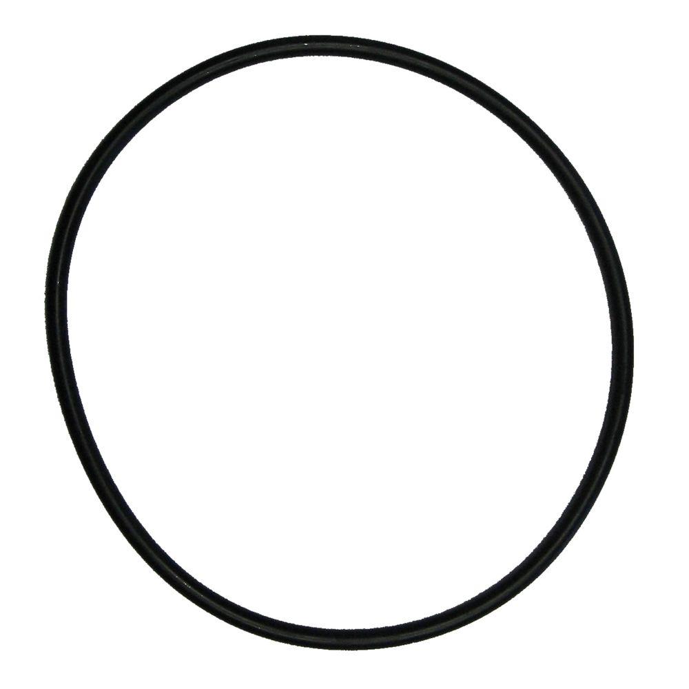 Watts O-ring for full flow whole house filter | The Home Depot Canada