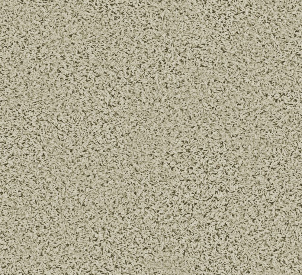 Carpet | The Home Depot Canada