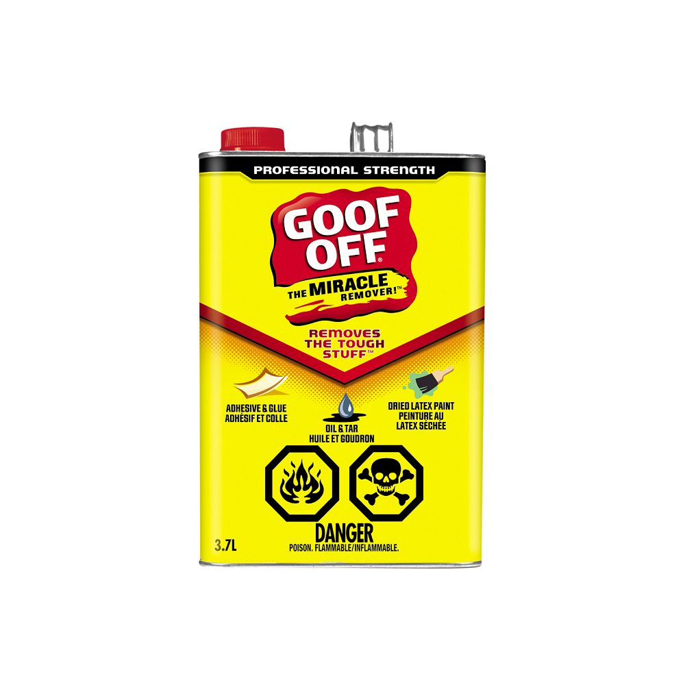 Cleaner 3.8L (FG631)