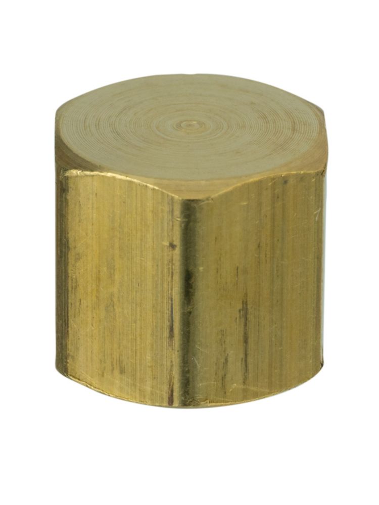 Sioux Chief 3/8 inch Lead-Free Brass FPT Cap | The Home Depot Canada