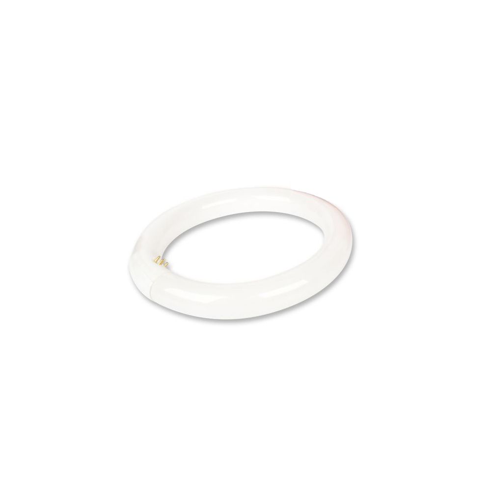 Fluorescent Bulbs | The Home Depot Canada