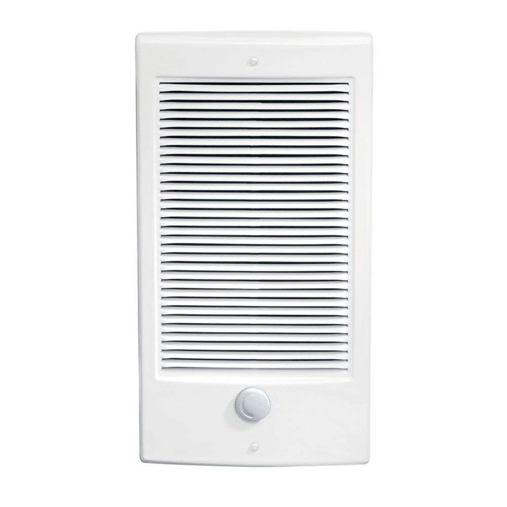 Dimplex Wall Heater Insert with Thermostat, Small, 2X3, 1000W 240V ...