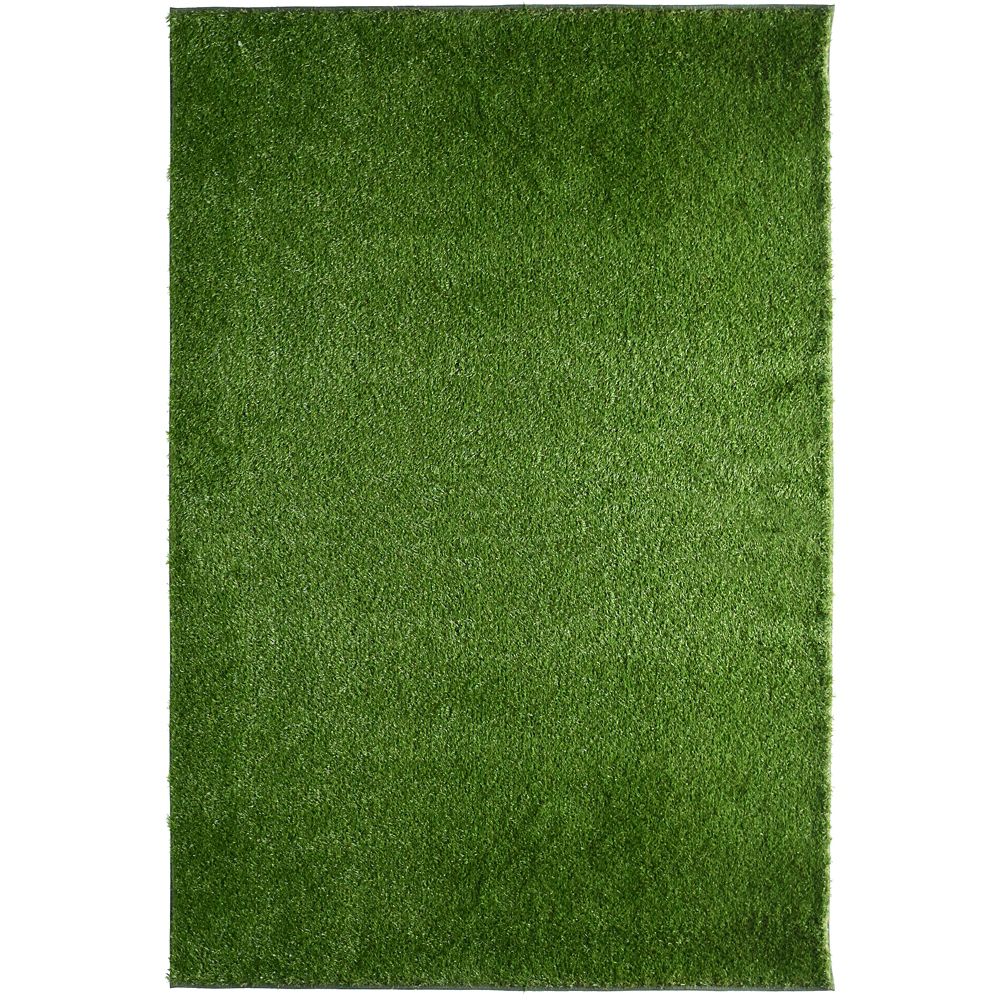 Lanart Rug Tapis rectangulaire, 12 pi x 16 pi, gazon Deluxe, vert ...