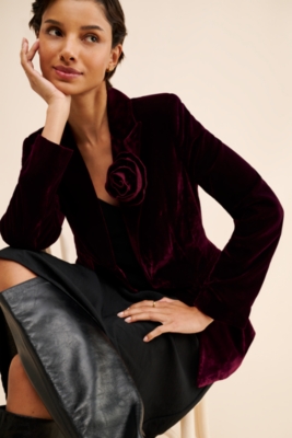 Merene Velvet Blazer | Nuuly