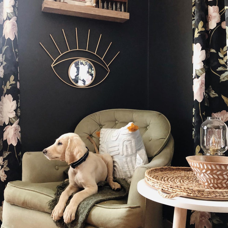 Shiitake SW 9173 | Neutral Paint Colors | Sherwin-Williams Shiitake SW 9173 | Neutral Paint Colors | Sherwin-Williams