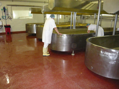 Famous Creamery Installed with FasTop PU Floor Screed