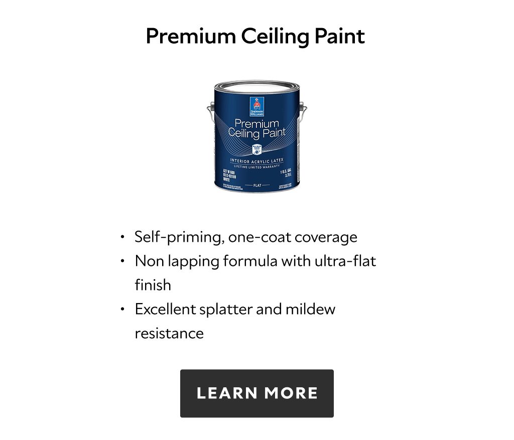 Ceiling Paint by Sherwin-Williams
