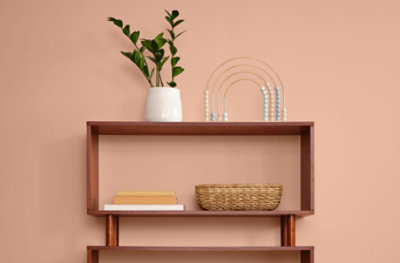 Rosa Resonante Sherwin Williams