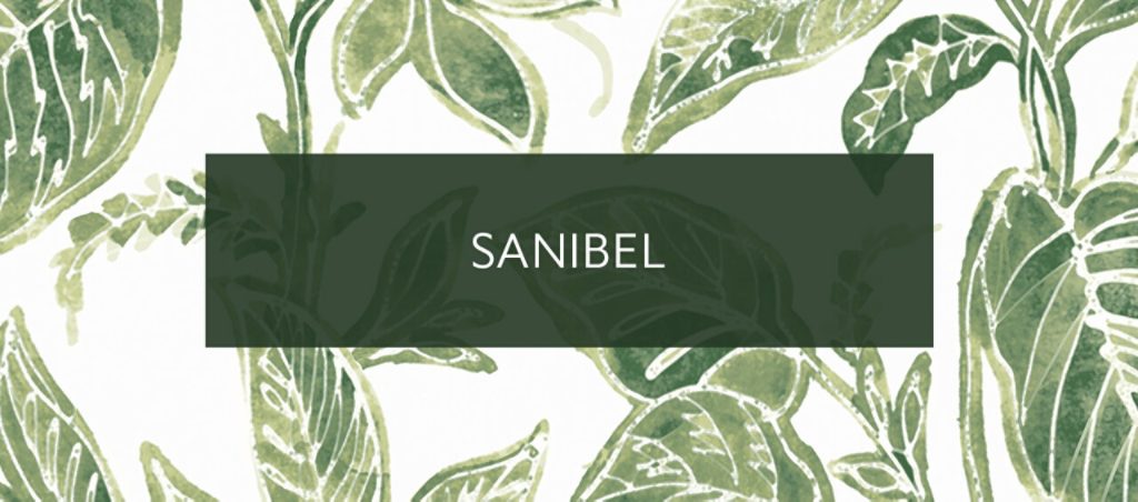 Kitchen Wallpaper Borders Sherwin Williams My Favorite