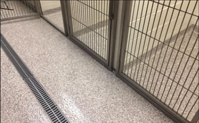 Kennel Flooring Options