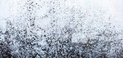 How to Remove Mildew from Walls | Sherwin-Williams