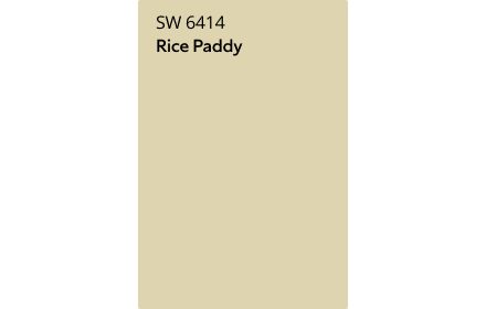 Rice Paddy Sherwin Williams Seeing Green (Paint That Is) — Thenest